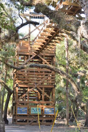 'Canopy Meg' talks about looking after nature | News | yoursun.com