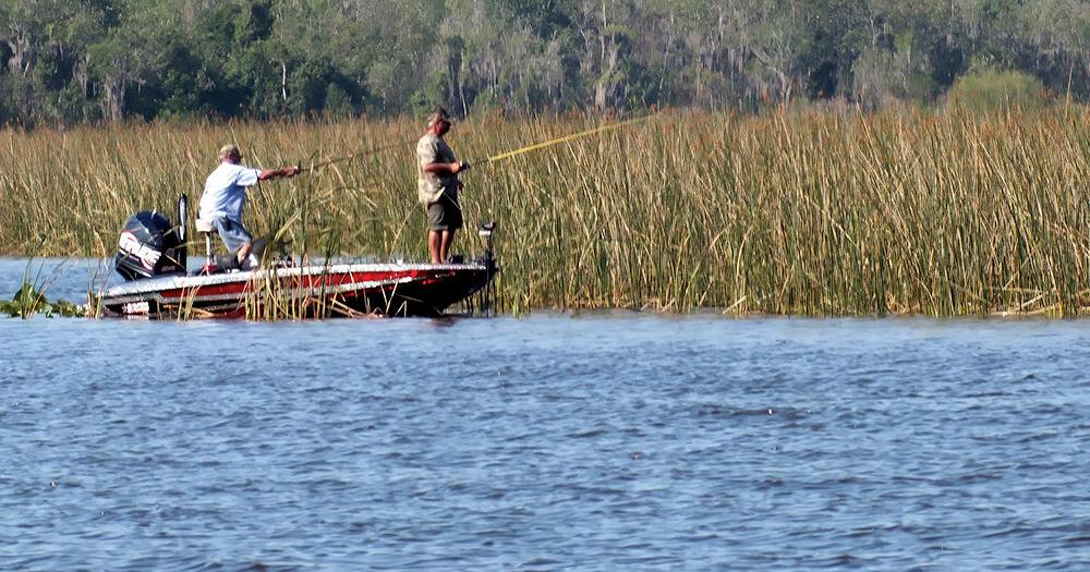 Finding a bass magnet | Waterline | yoursun.com