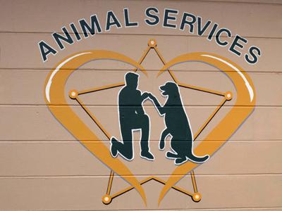 County still working on plans for animal services | Sebring | yoursun.com