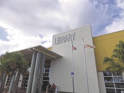 How not to fail | The Daily Sun | yoursun.com