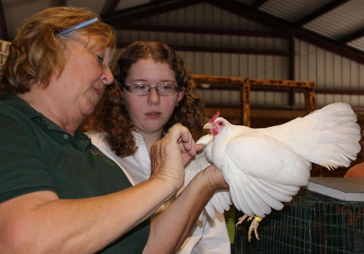 Good times at the fair | News Archives | yoursun.com