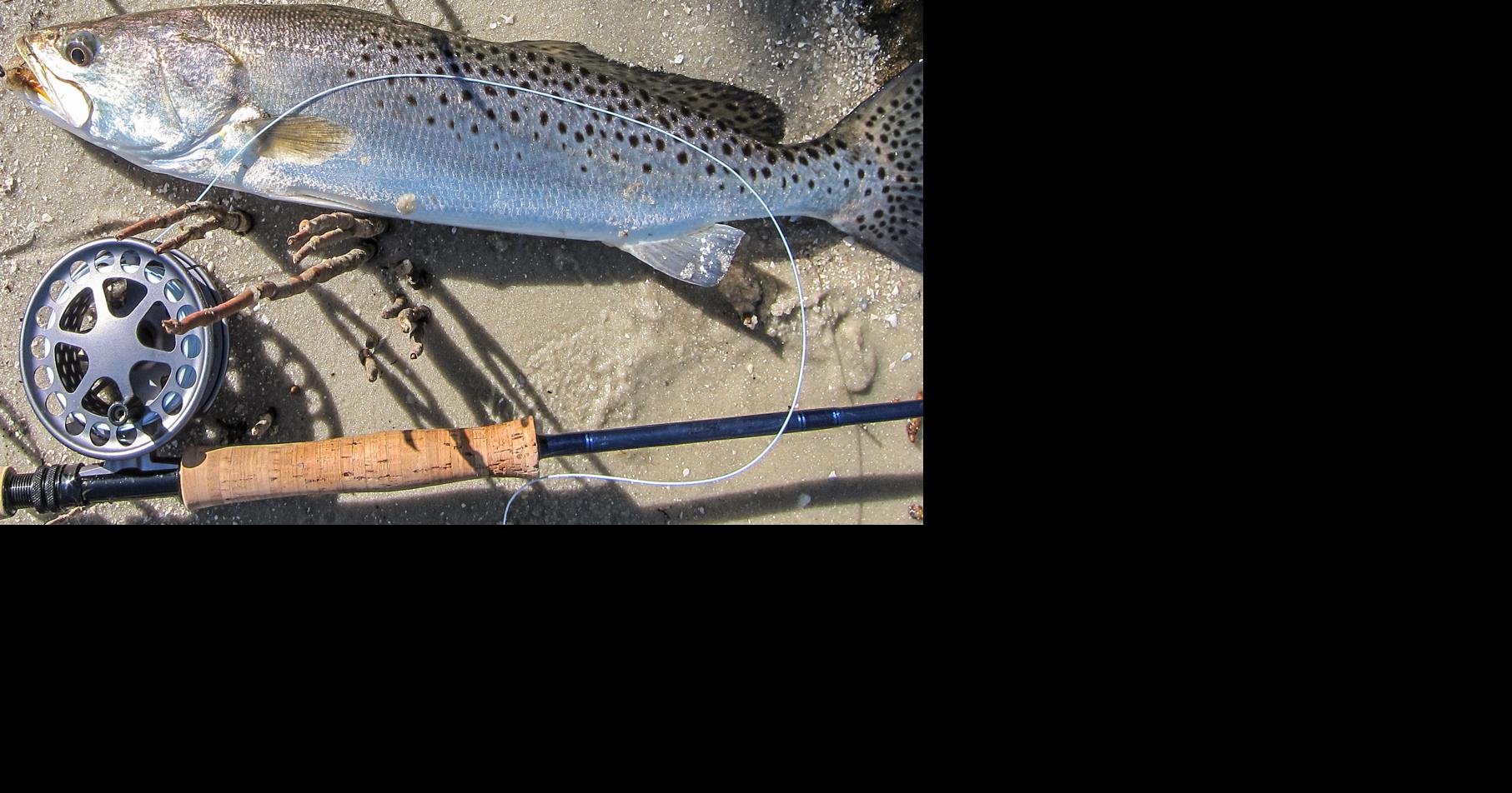 Casting faults and line questions | Waterline | yoursun.com