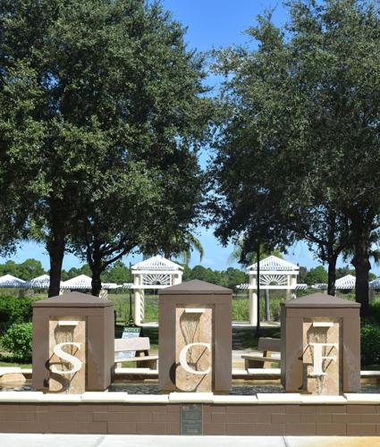 SCF associate degree aimed at health services management | The ...