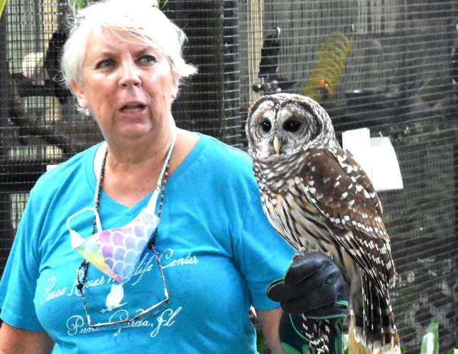 Peace River Wildlife Center set for relaunch in Punta Gorda | News ...