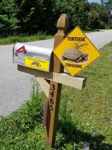 Signs of the times: Group hopes awareness campaign will keep gopher ...