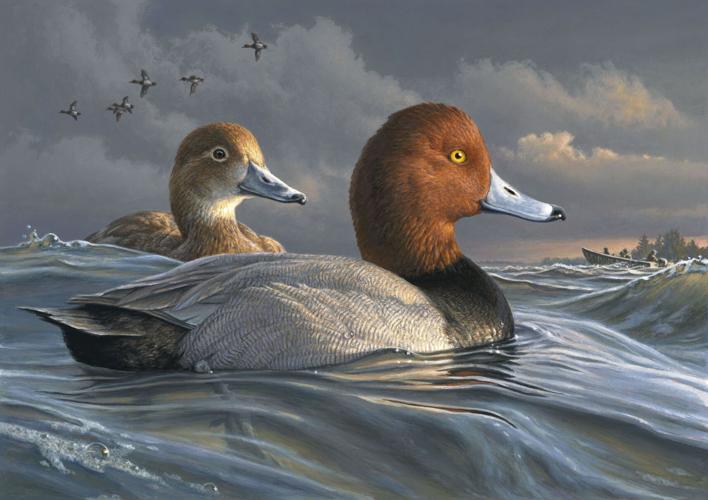 ‘Winningest’ federal duck stamp artist to participate in 'Art in the ...