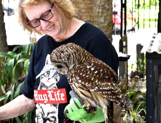 Peace River Wildlife Center set for relaunch in Punta Gorda | News ...