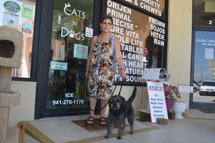 Cats n Dogs to host non-anesthesia dental cleaning clinic for dogs ...