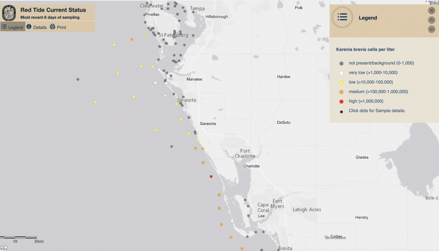 RED TIDE: Algae plagues Florida's Gulf Coast | News | yoursun.com