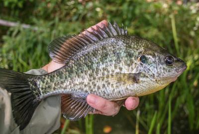 Back to the beginning | Waterline | yoursun.com