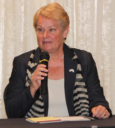 Tiger Bay hosts Sarasota County Commission District 3 candidates | News ...