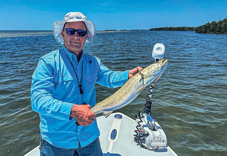 Reader photos | Waterline | yoursun.com