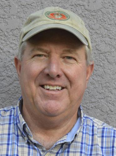 Not a lot of fluff in county budget | Newsarchives | yoursun.com