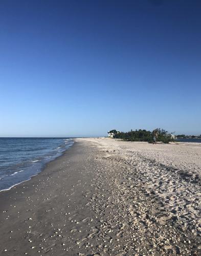 Stump Pass Beach State Park reopens | Port Charlotte News | yoursun.com