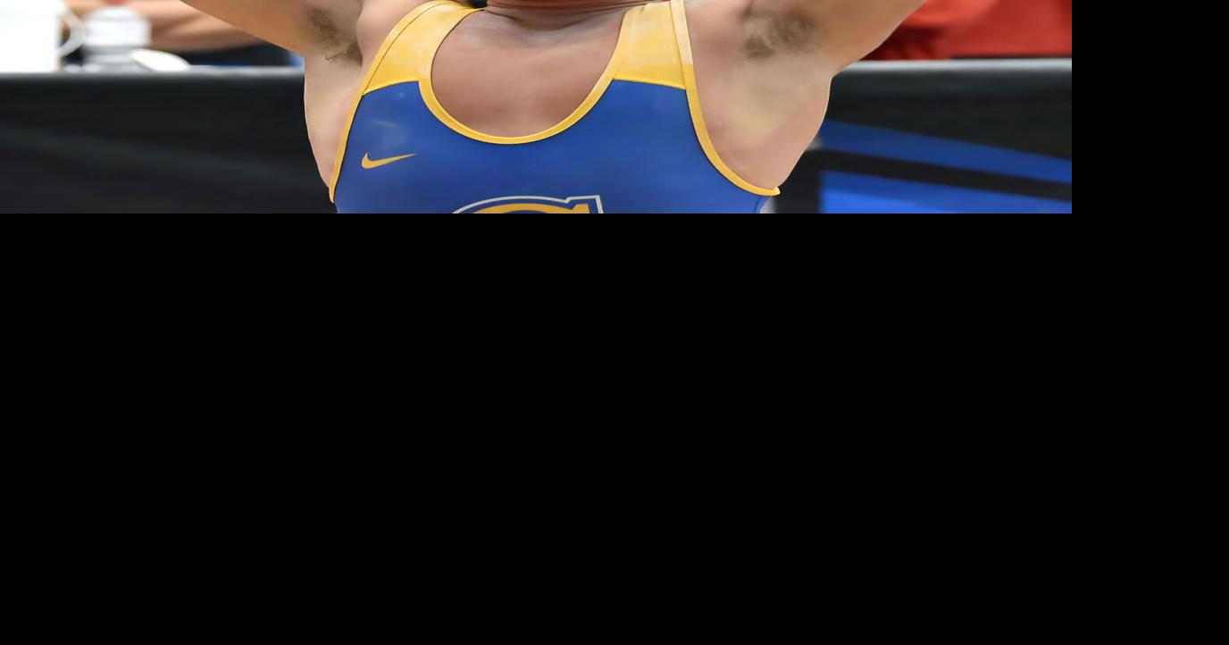 BOYS WEIGHTLIFTING: Charlotte leads area lifters at states | Sun Preps ...
