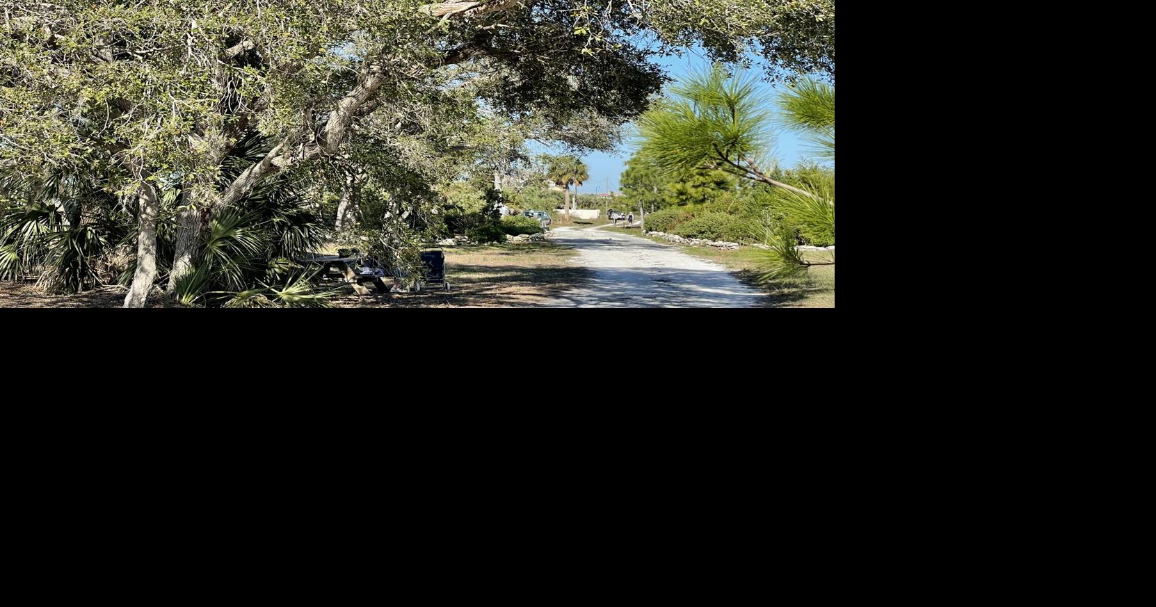 Free trees, free advice at Venice Arbor Day event Friday | News ...