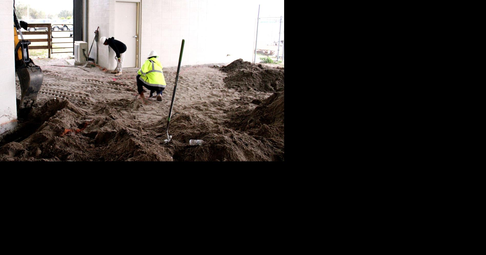 Mosaic Arena gets some upgrades | News | yoursun.com