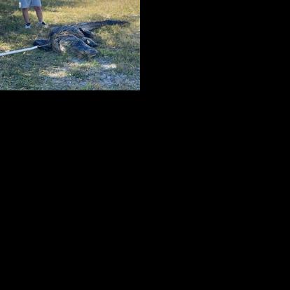 Sheriff helps capture gator during fishing trip | Port Charlotte News ...