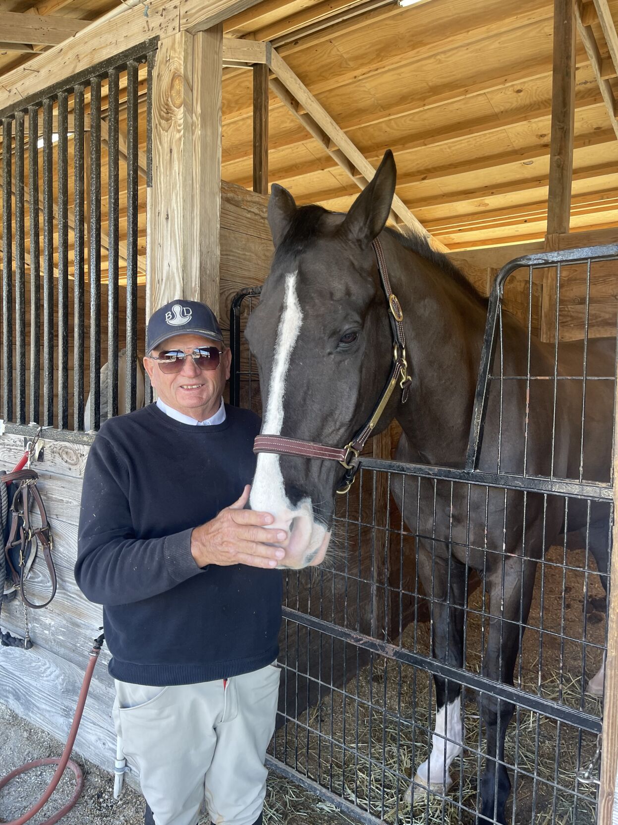 Horsing around at Fox Lea Farm | News | yoursun.com