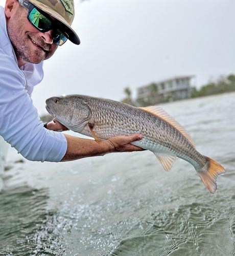 Reader photos | Waterline | yoursun.com