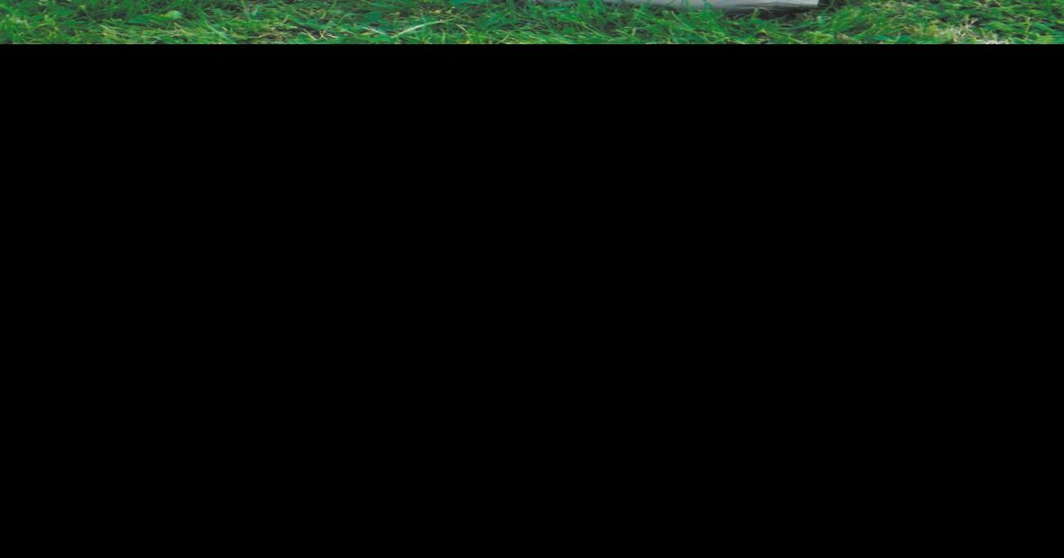 Remembering SSG. Chris Ward | News Archives | yoursun.com