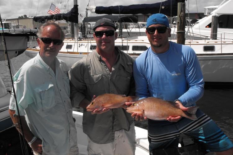 Untitled Story | News Archives | yoursun.com