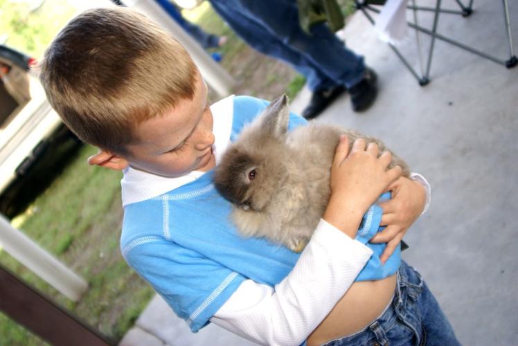 4-H holds rabbit and poultry swap meet | News Archives | yoursun.com