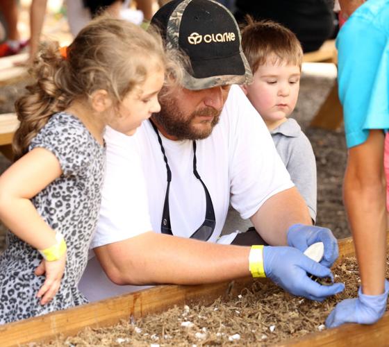 12th annual Alligator Hatching Festival runs Aug. 13-28 at Gatorama ...