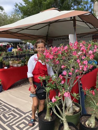 Hibiscus Festival in full bloom | News Archives | yoursun.com