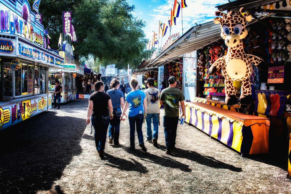 Charlotte County Fair to feature more animals, art this year | News ...