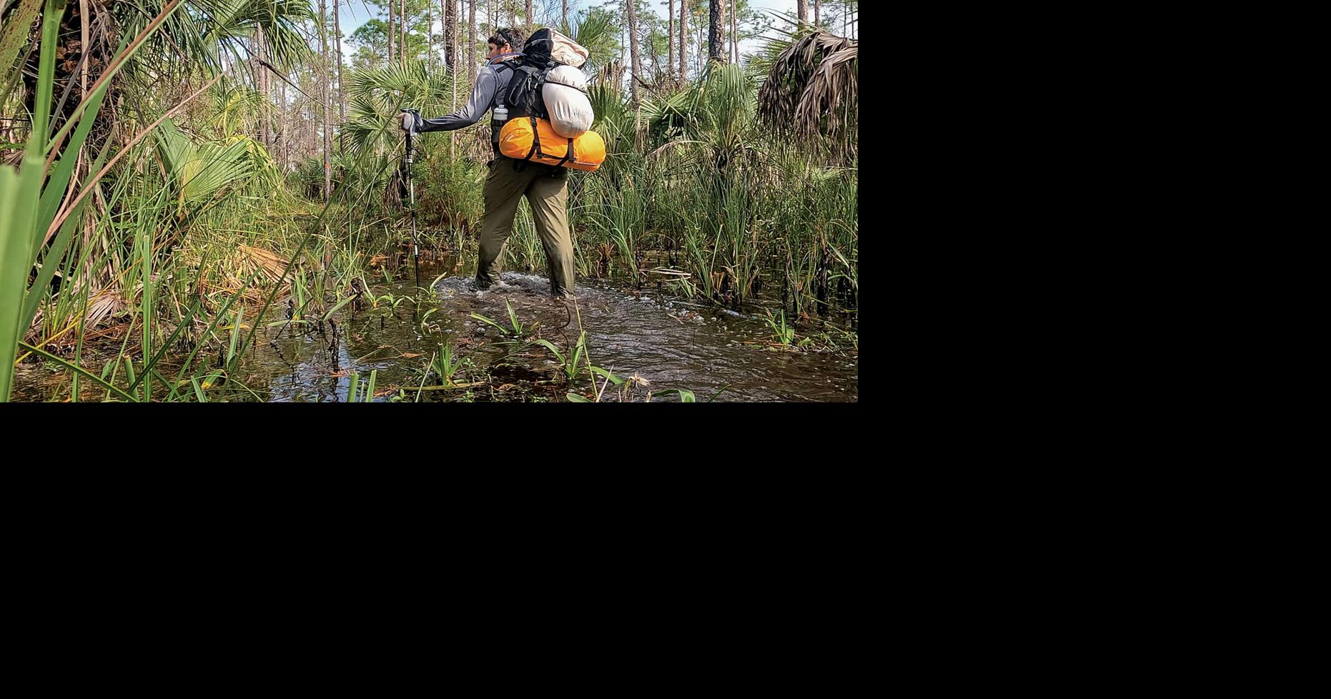If you want to speak for the trees | Waterline | yoursun.com