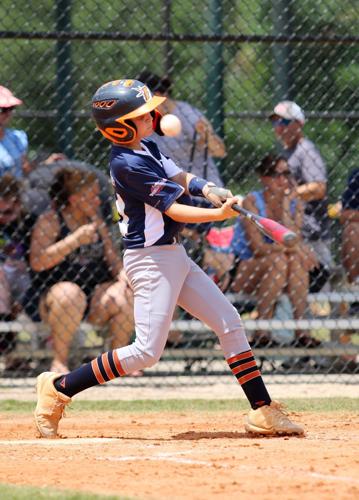 Tigers regain winning ways, gain North Port championship | The Daily ...