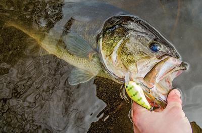 Pick the right line for the job | Waterline | yoursun.com