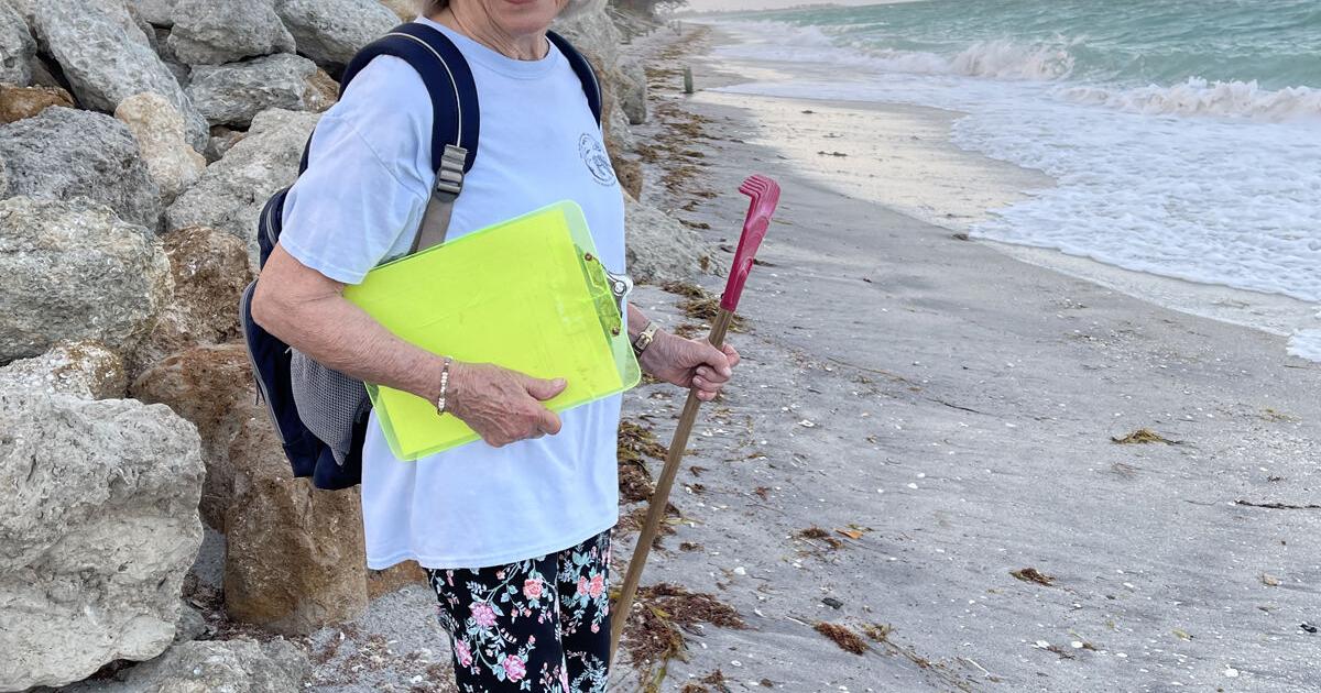 COLUMN: Let's make it easy for the sea turtles | News | yoursun.com