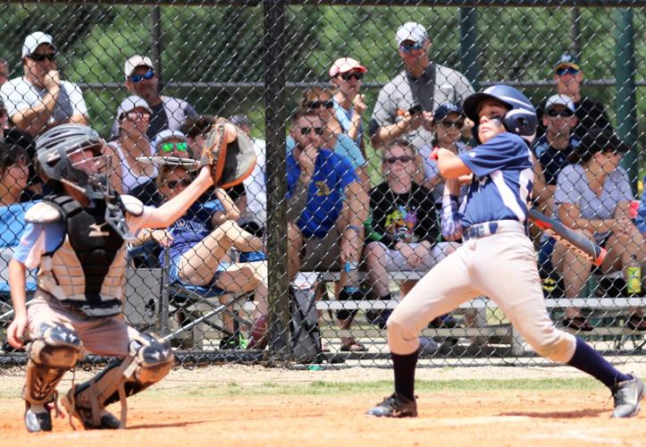 Tigers regain winning ways, gain North Port championship | The Daily ...