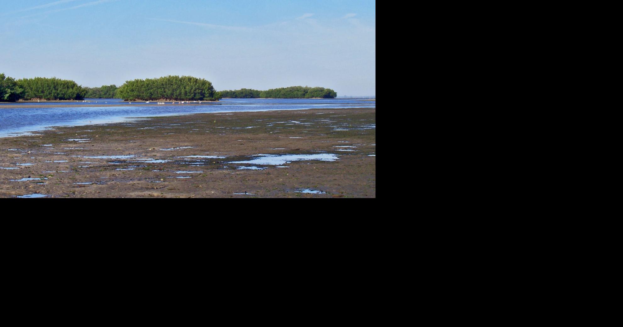 Where did the water go? | Waterline | yoursun.com