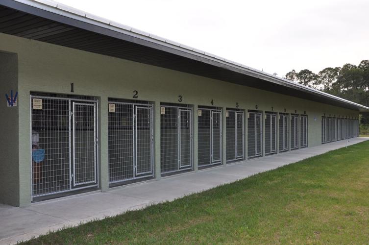 New kennels take Humane Society dogs from patchwork pens to lap of ...