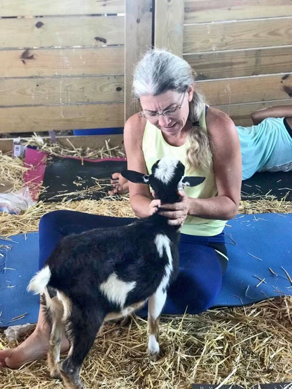 Skip the run to play with goats | Features | yoursun.com