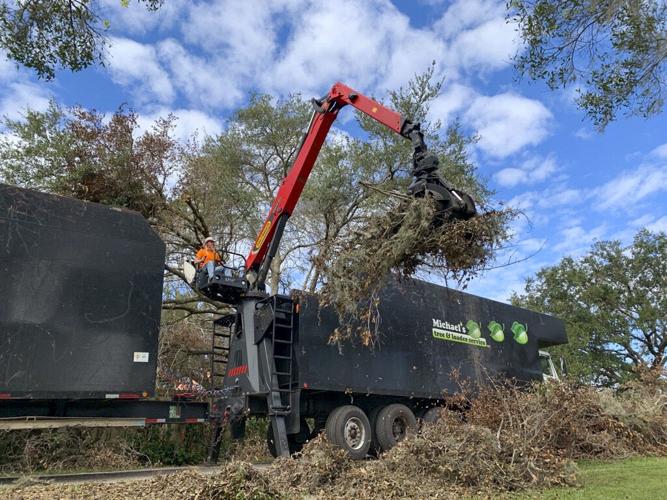 High volumes of vegetation debris collection reported across the region ...