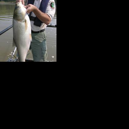 Slack Tides | Waterline | yoursun.com