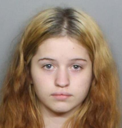 Two suspects ID'd in botched home invasion | Port Charlotte News ...