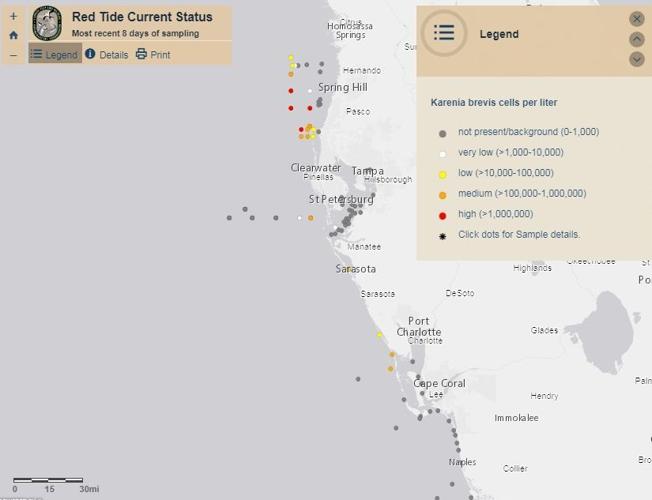 Red tide still haunting Gulf beaches | The Daily Sun | yoursun.com