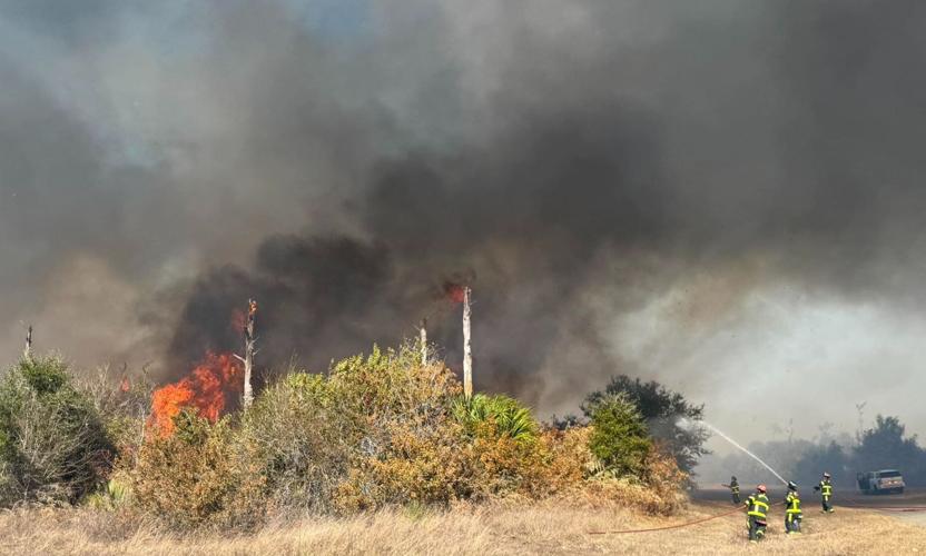 Firefighters battle brush fire near I-75; highway briefly closed | News ...