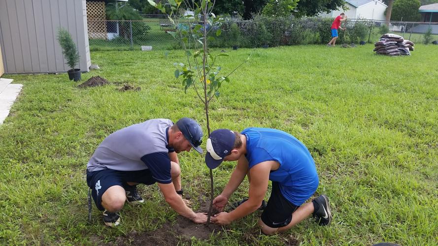 ‘Boys of summer’ help with tree planting | News Archives | yoursun.com