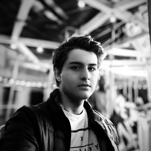 Punta Gorda filmmaker wins a national honor | News | yoursun.com