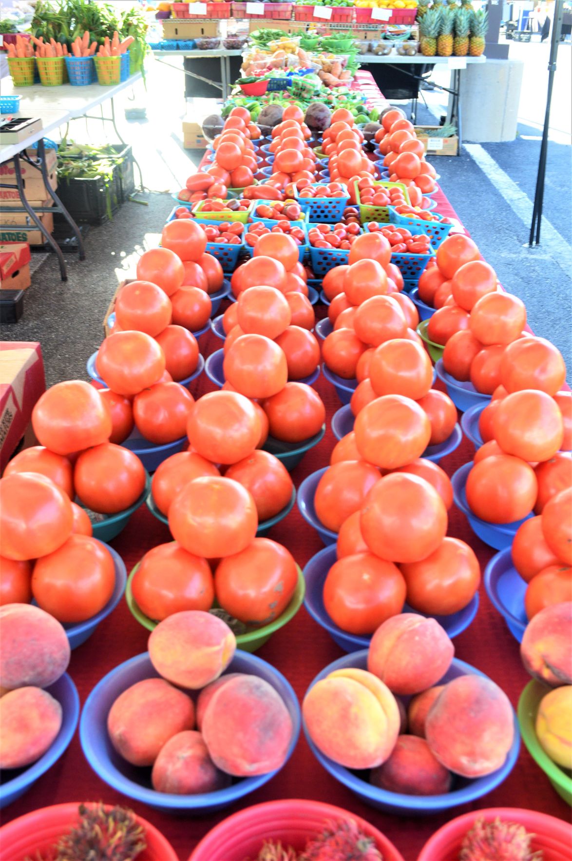 Meeting the locals at the Surfside Sunshine Market | Let's Go ...
