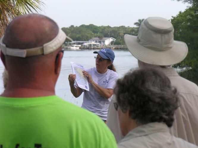 Hunting scallops in the name of science | Waterline | yoursun.com