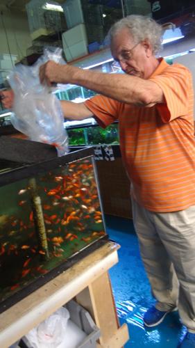 Father Fish is full of good advice about tropical fish | News Archives ...