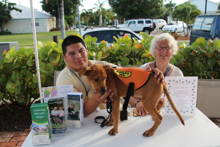 AWL benefits from Dog’s Night Out | News Archives | yoursun.com