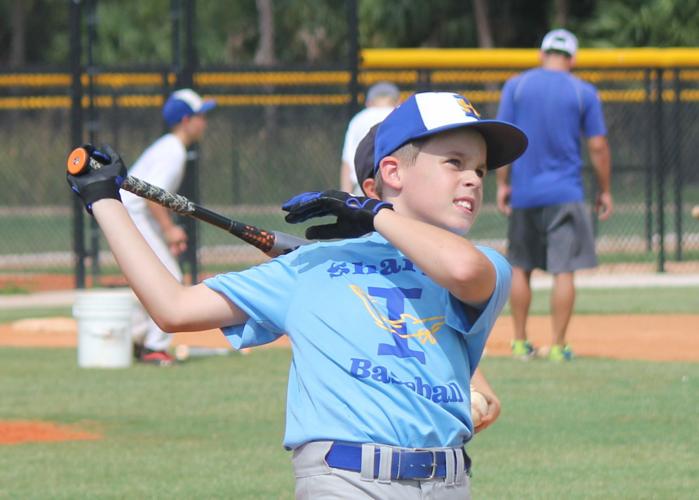 Imagine Sharks baseball camp | News Archives | yoursun.com